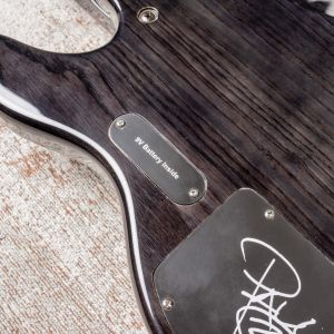 Ibanez PGB1 Paul Gray Signature B-Stock – Fanatic Guitars