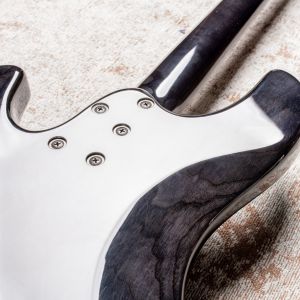 Ibanez PGB1 Paul Gray Signature B-Stock – Fanatic Guitars