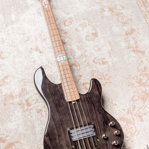 Ibanez PGB1 Paul Gray Signature B-Stock – Fanatic Guitars