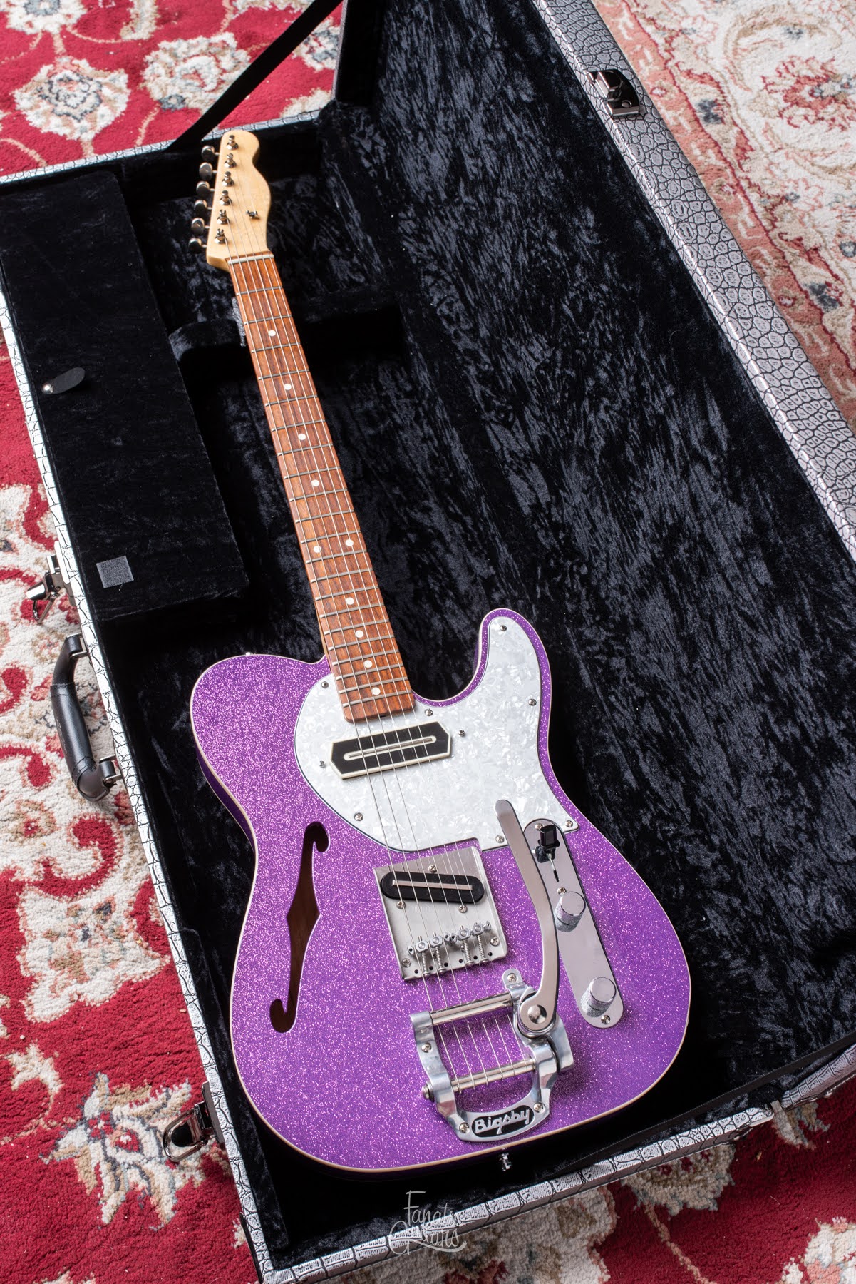 Partscaster Telecaster Thinline Custom Segunda Mano