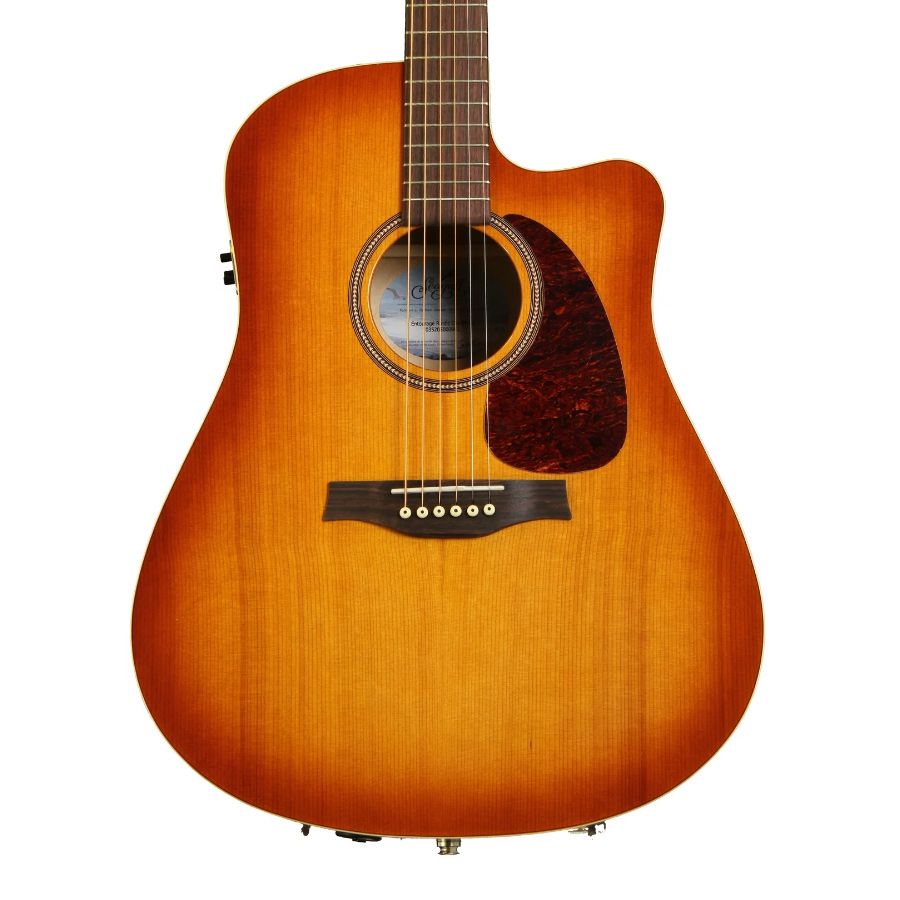 Seagull Entourage Rustic CW GT QI – Fanatic Guitars