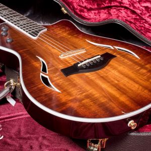 Taylor T5z Custom – Fanatic Guitars