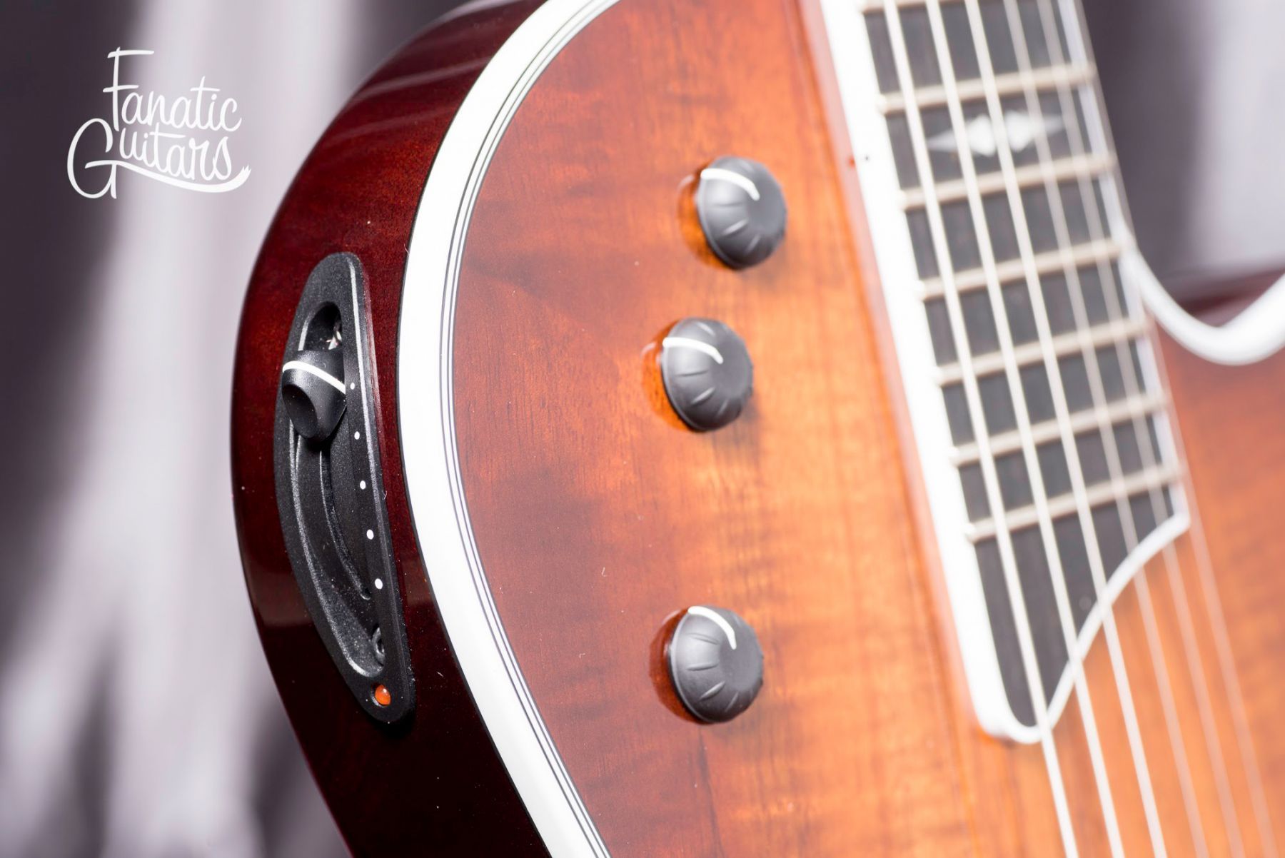 Taylor T5z Custom – Fanatic Guitars