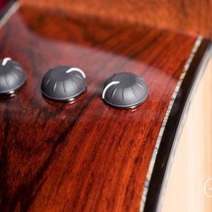 Taylor PS12e Presentation – Fanatic Guitars