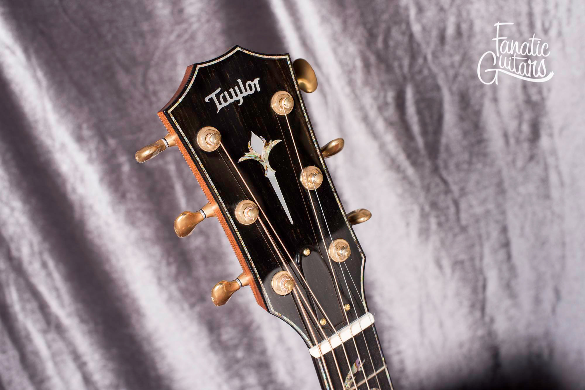 Taylor PS12e Presentation